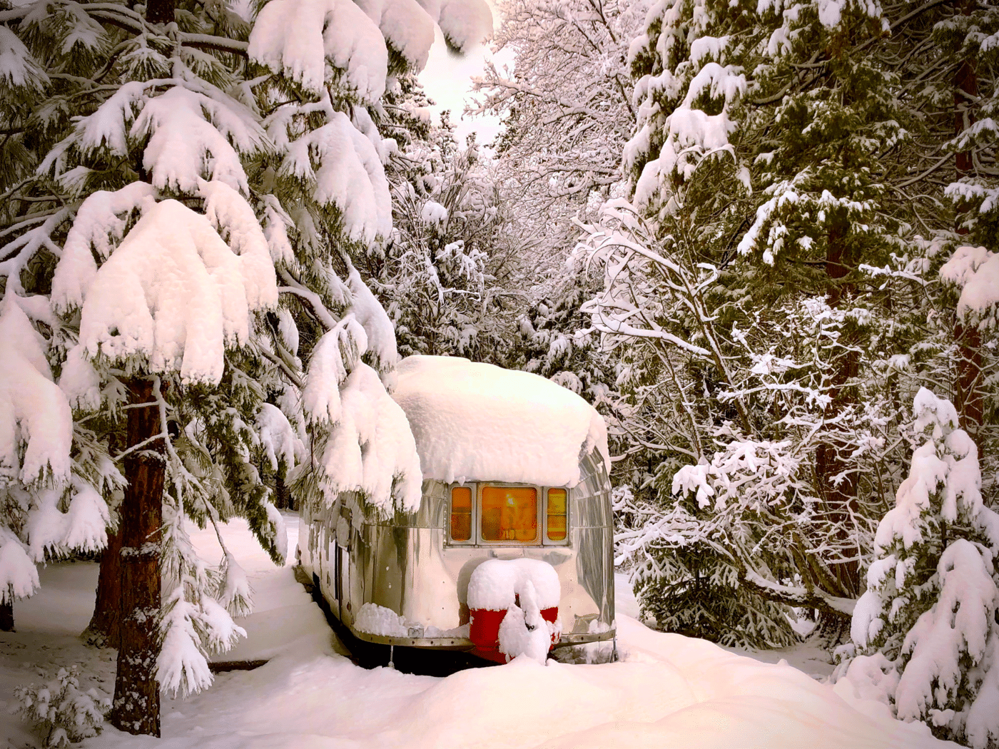 Celebrating the Holidays with Local 600 Members | Local 600 ...